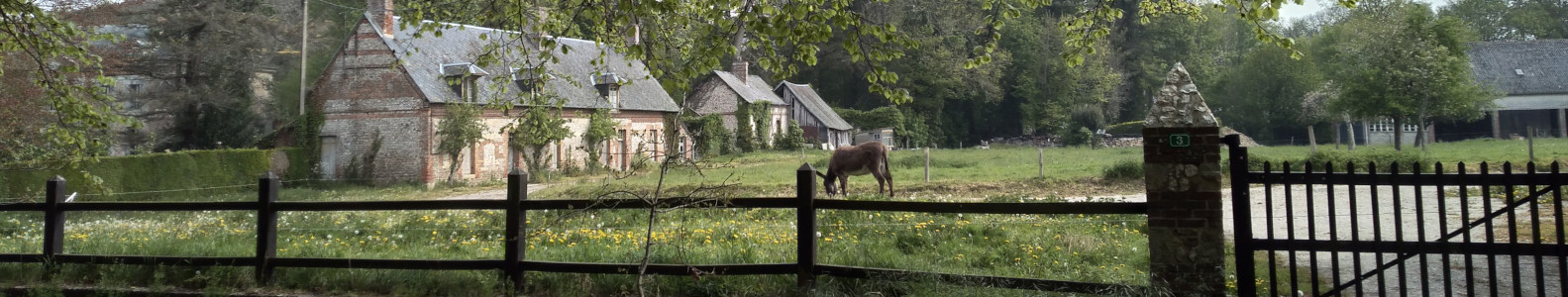 Entre Mer et Lin - Home